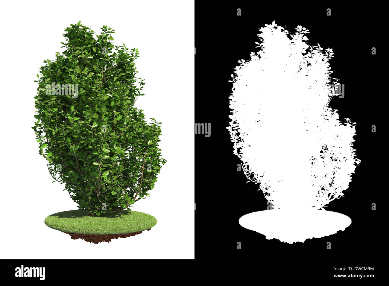 Raster Mask High Resolution Stock Photography and Images - Alamy