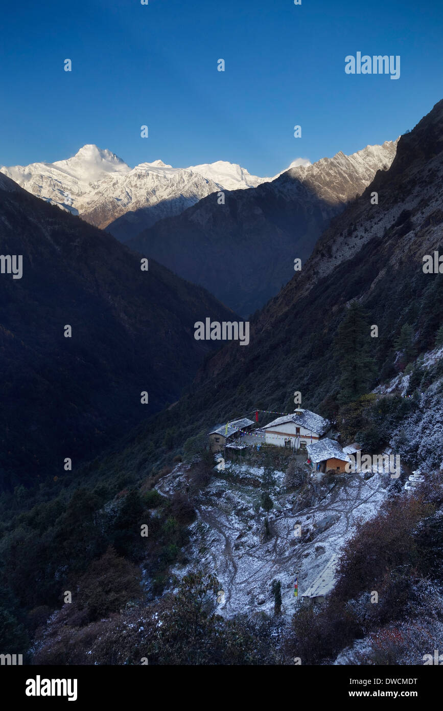 Gumba hi-res stock photography and images - Alamy