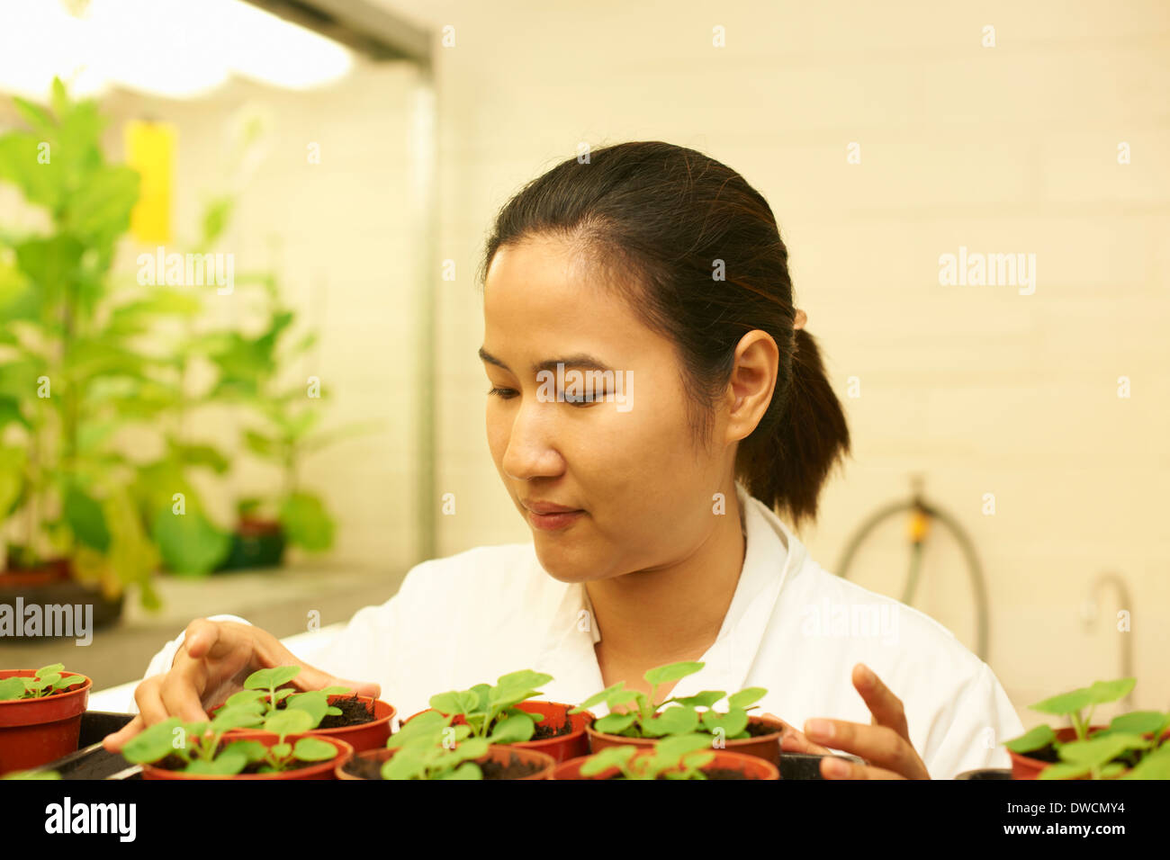 Sample pots hi-res stock photography and images - Alamy