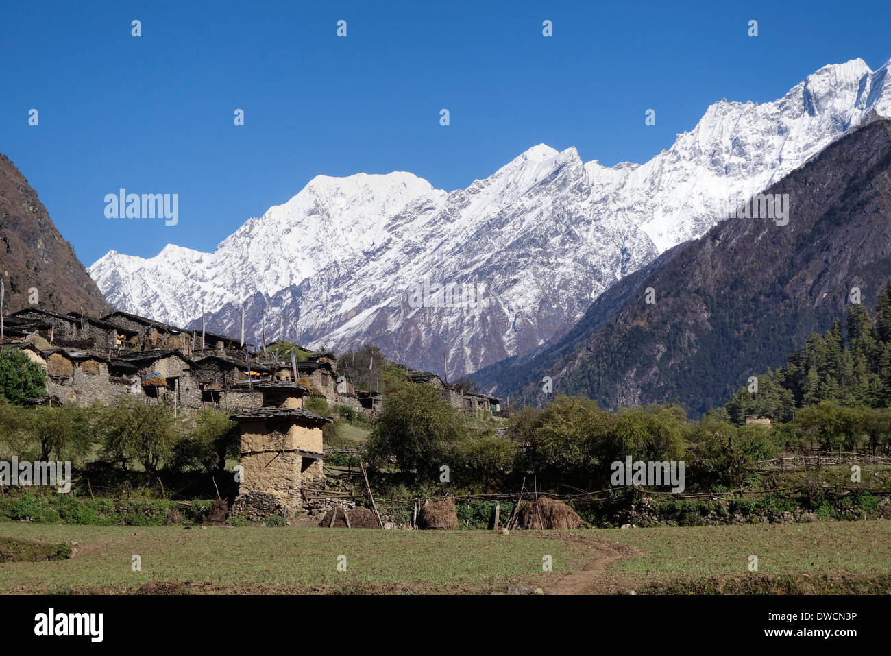 The village of Ripchet in the Tsum Valley, Nepal Stock Photo - Alamy