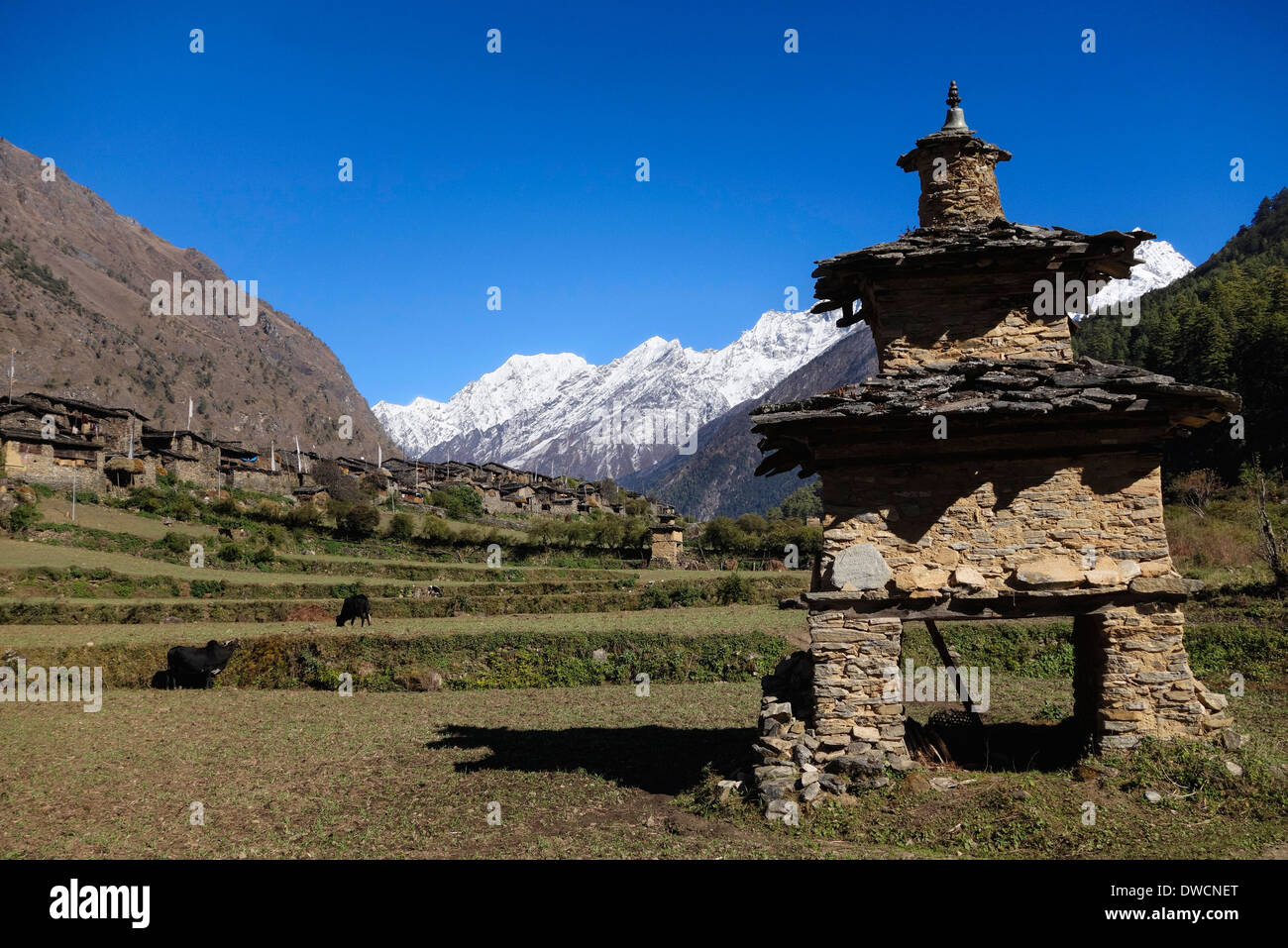 Tsum valley hi-res stock photography and images - Alamy