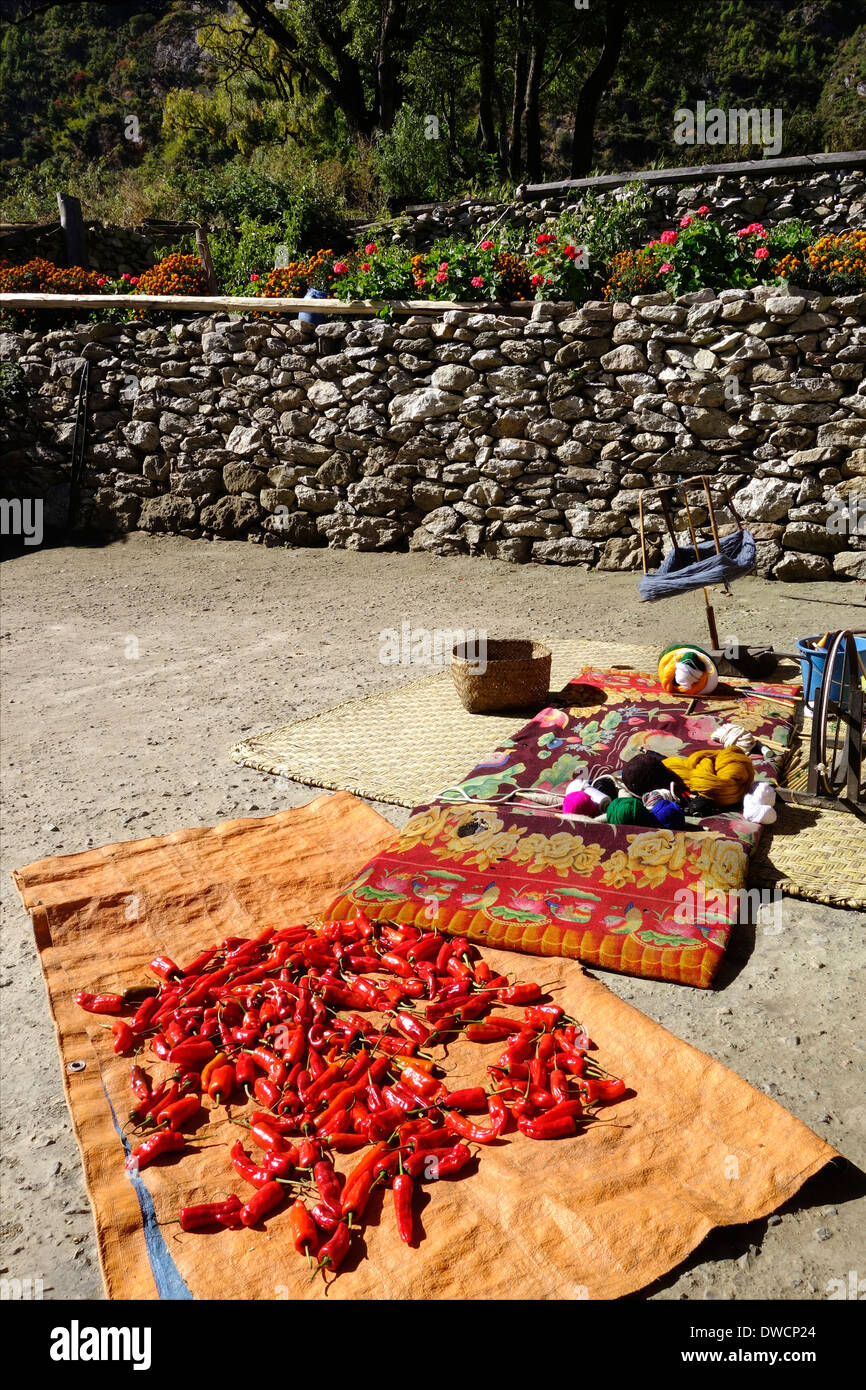 Weaving materials and drying chilis in the courtyard of a house in Prok ...