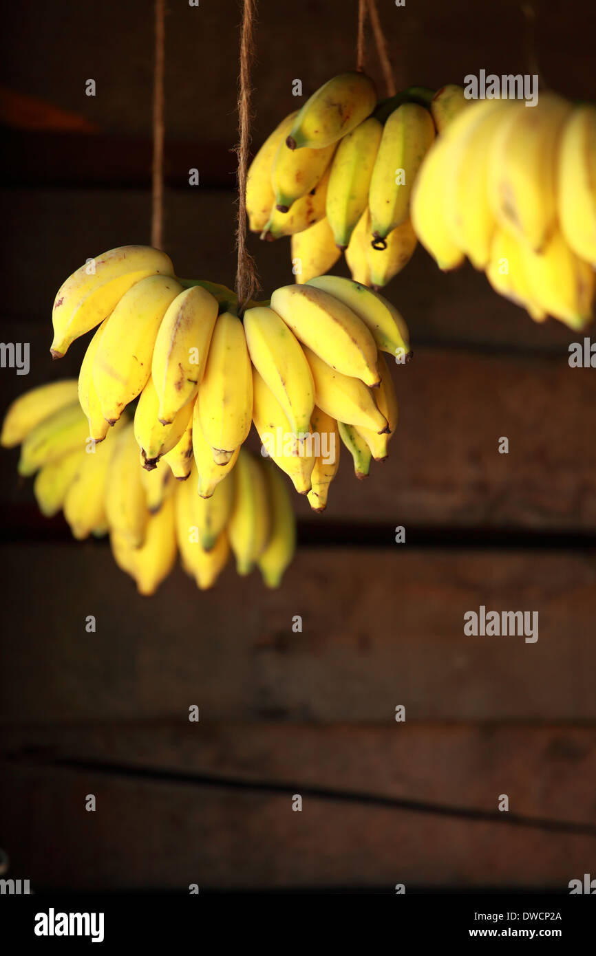 Tropical India Bananas Group Together Stock Photo - Alamy