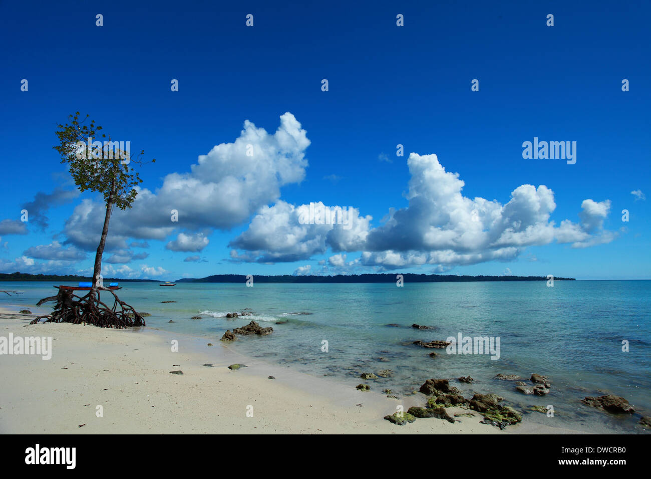 Blue sky and clouds in Havelock island. Andaman islands, India Stock ...