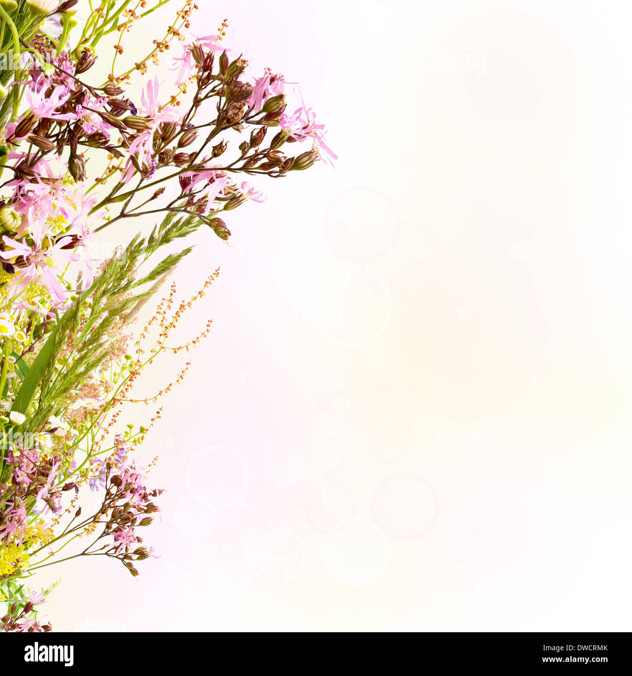 Floral easter background Stock Photo - Alamy