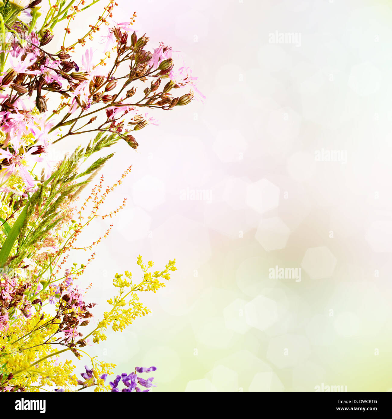 Floral easter background Stock Photo - Alamy