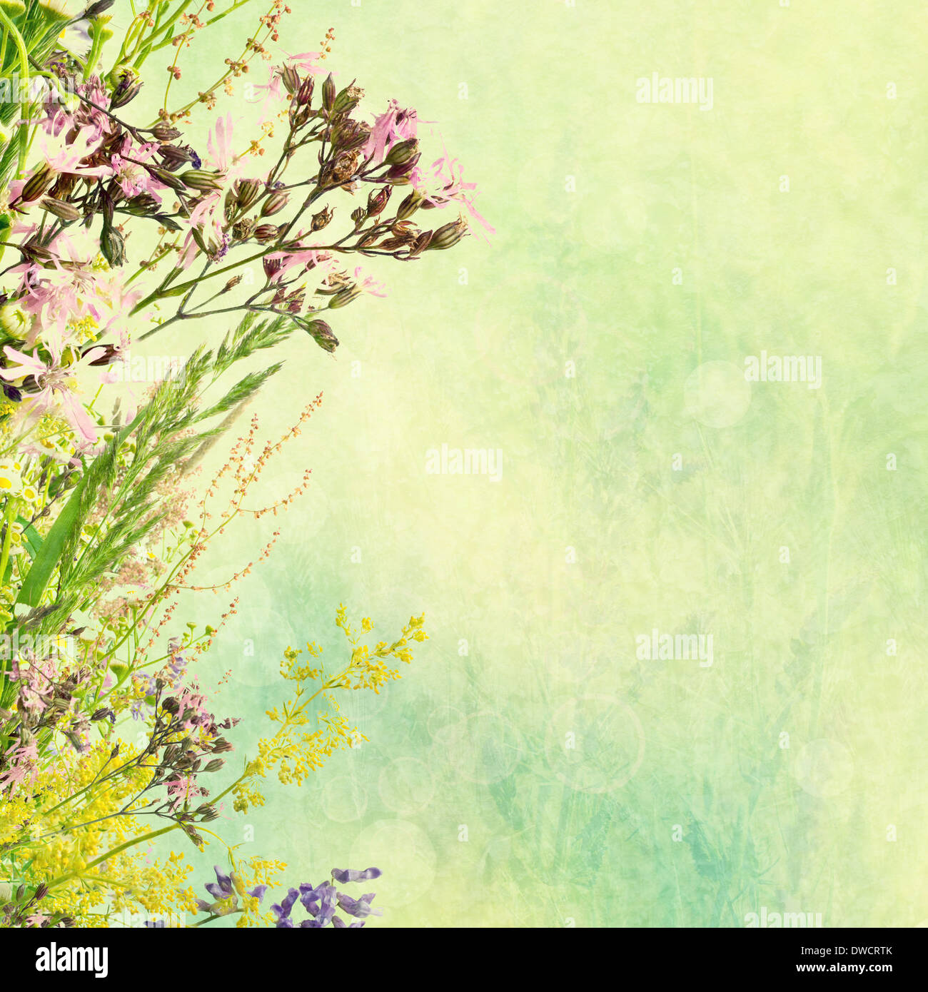 Floral easter background Stock Photo - Alamy