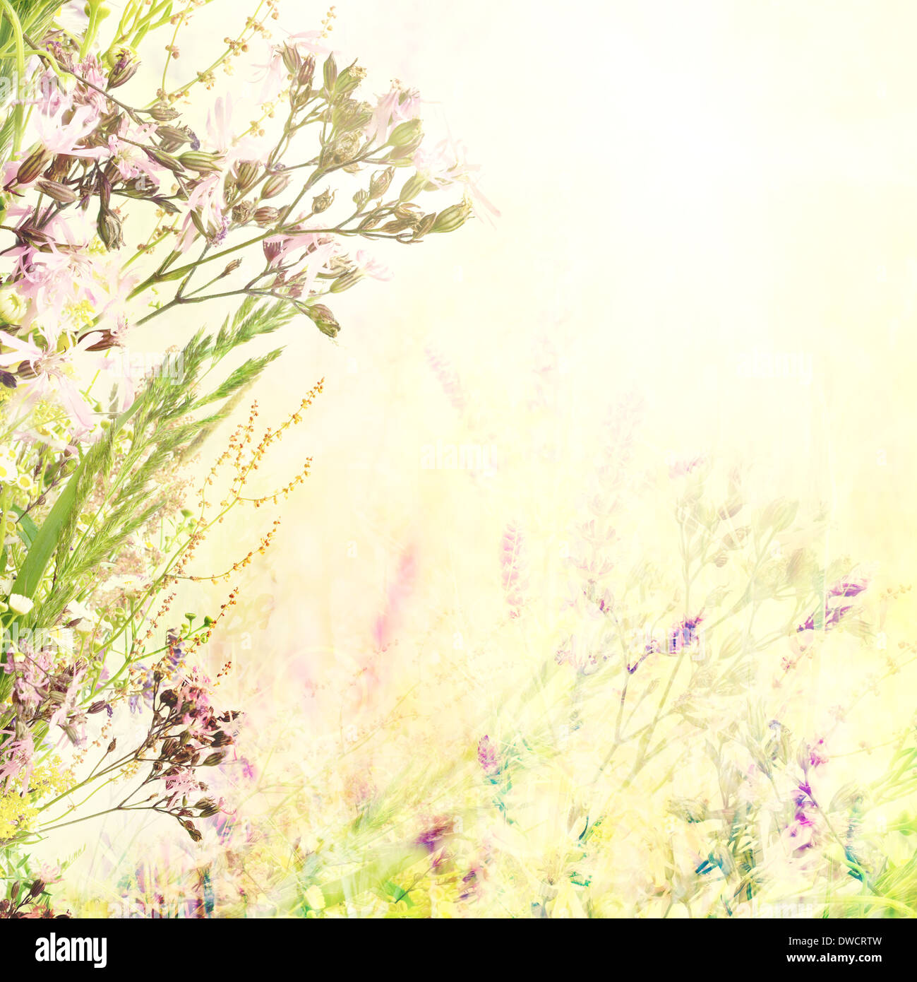 Floral easter background Stock Photo - Alamy