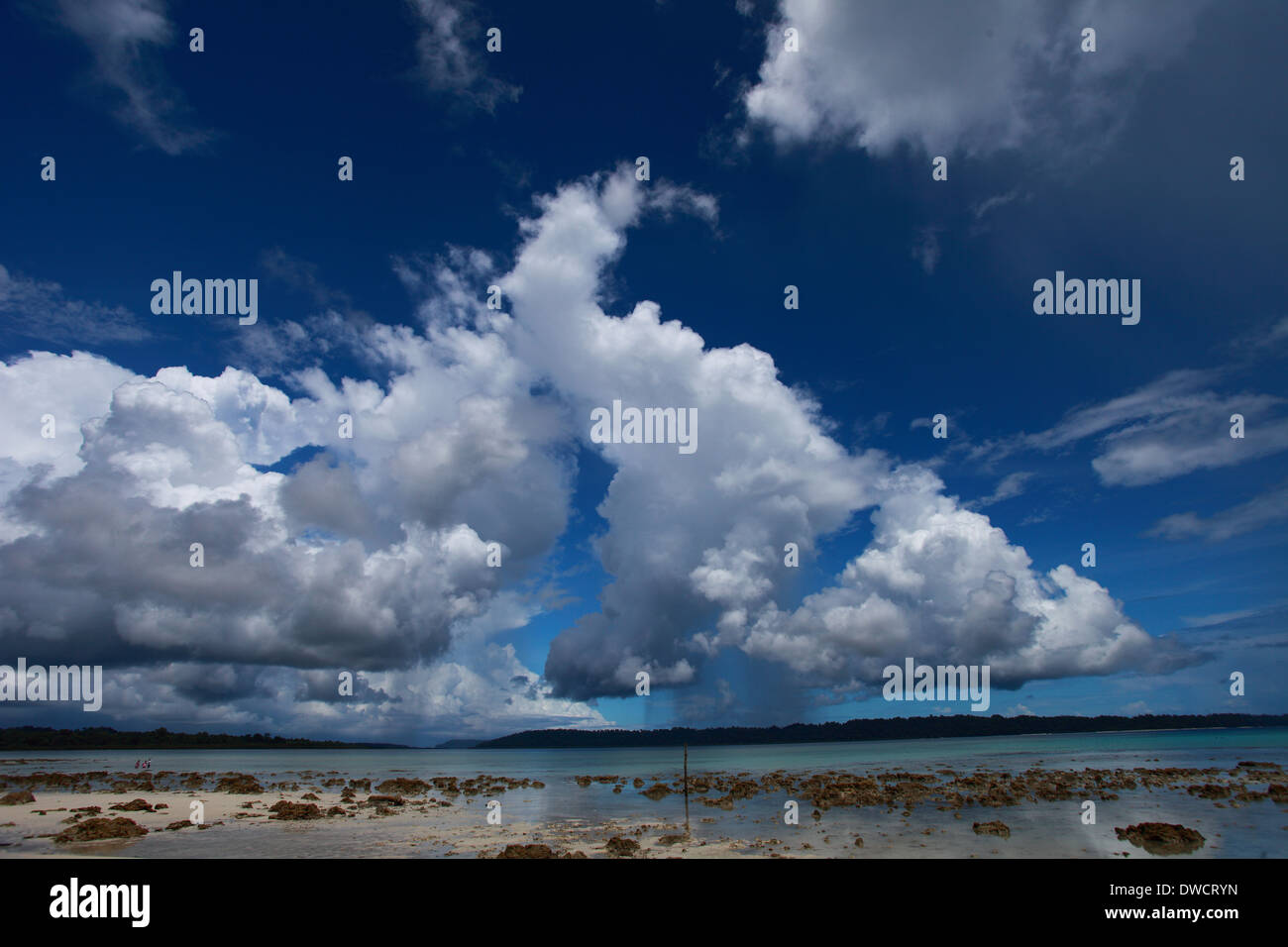 Havelock island beach blue sky with white clouds, Andaman islands - India Stock Photo - Alamy