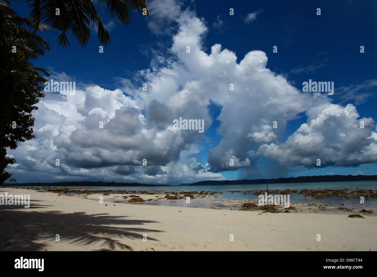 Havelock island beach blue sky with white clouds, Andaman islands - India Stock Photo - Alamy