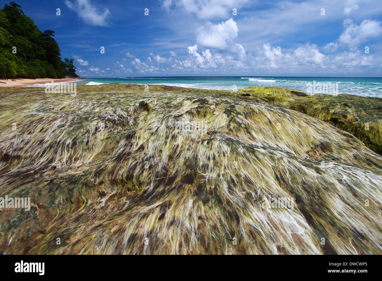 Neil Island beach and blue sky with white clouds, Andaman islands ...