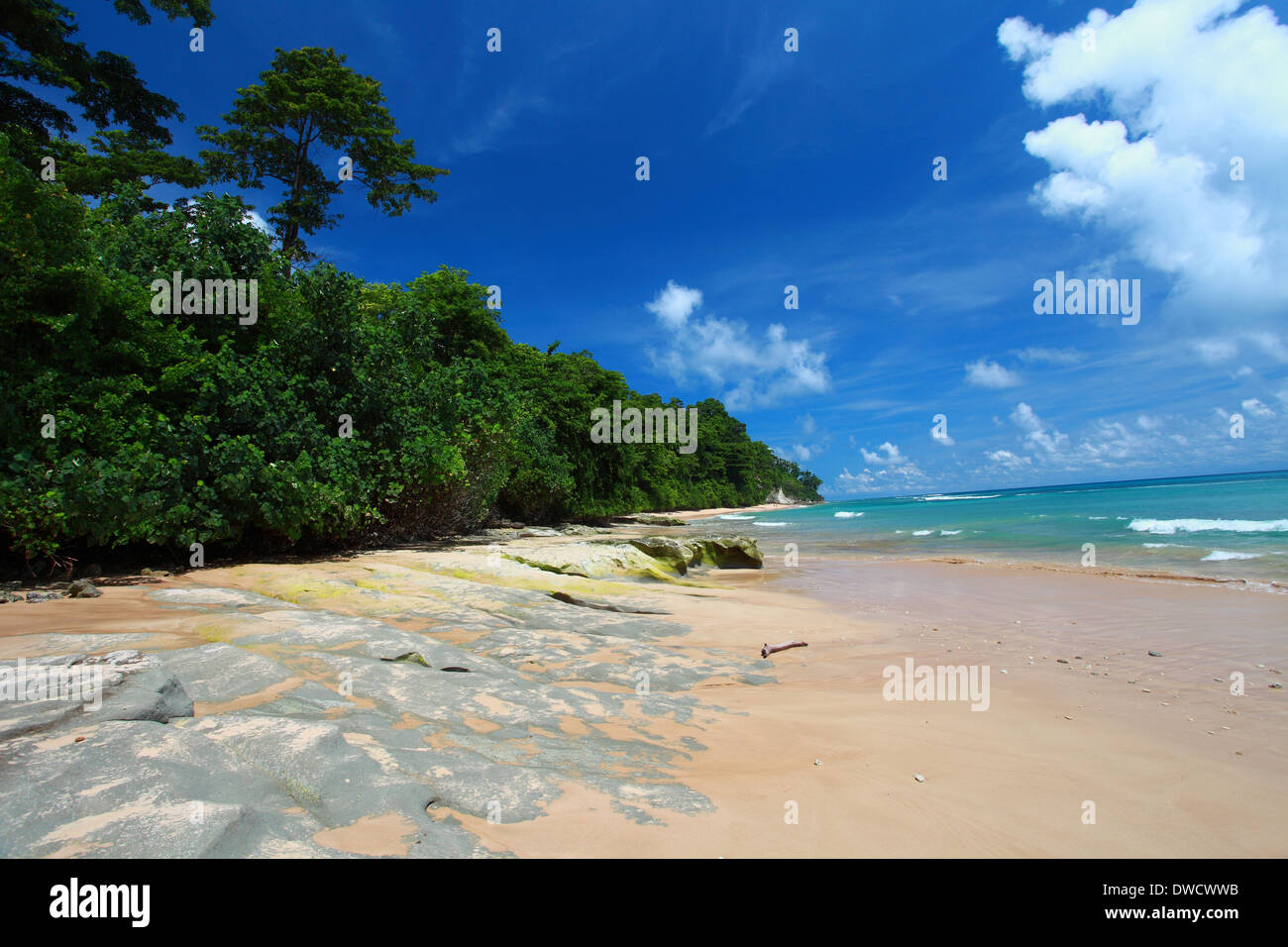 Neil Island beach and blue sky with white clouds, Andaman islands ...