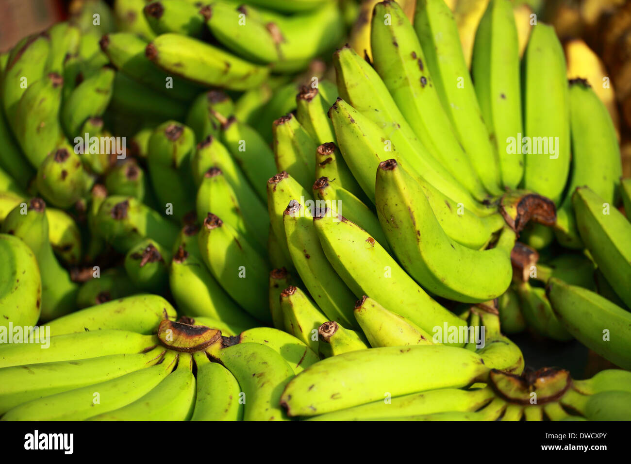 Tropical bananas in local bazaar in India Stock Photo - Alamy