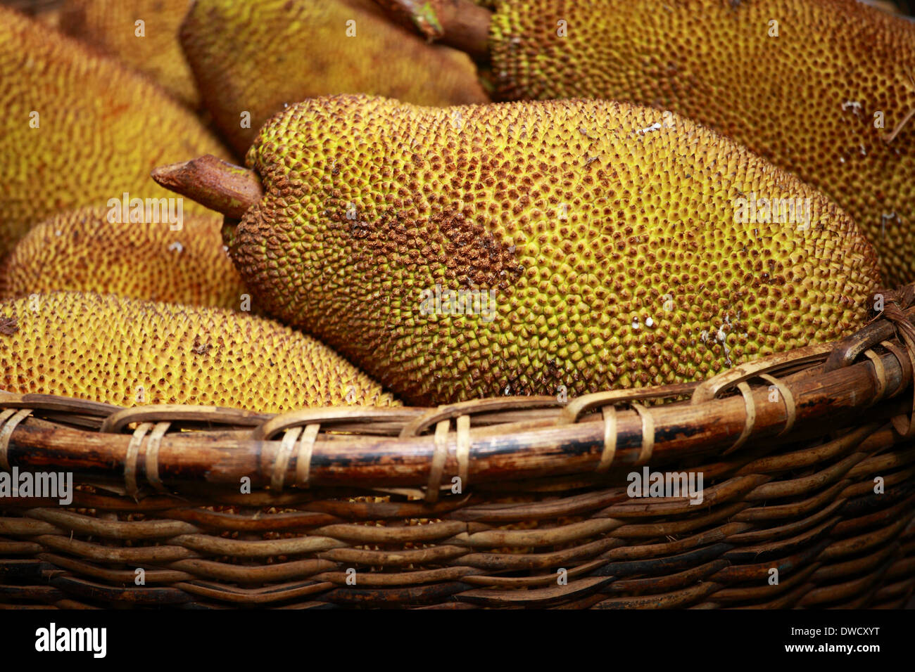 Jack fruit market thailand hi-res stock photography and images - Alamy