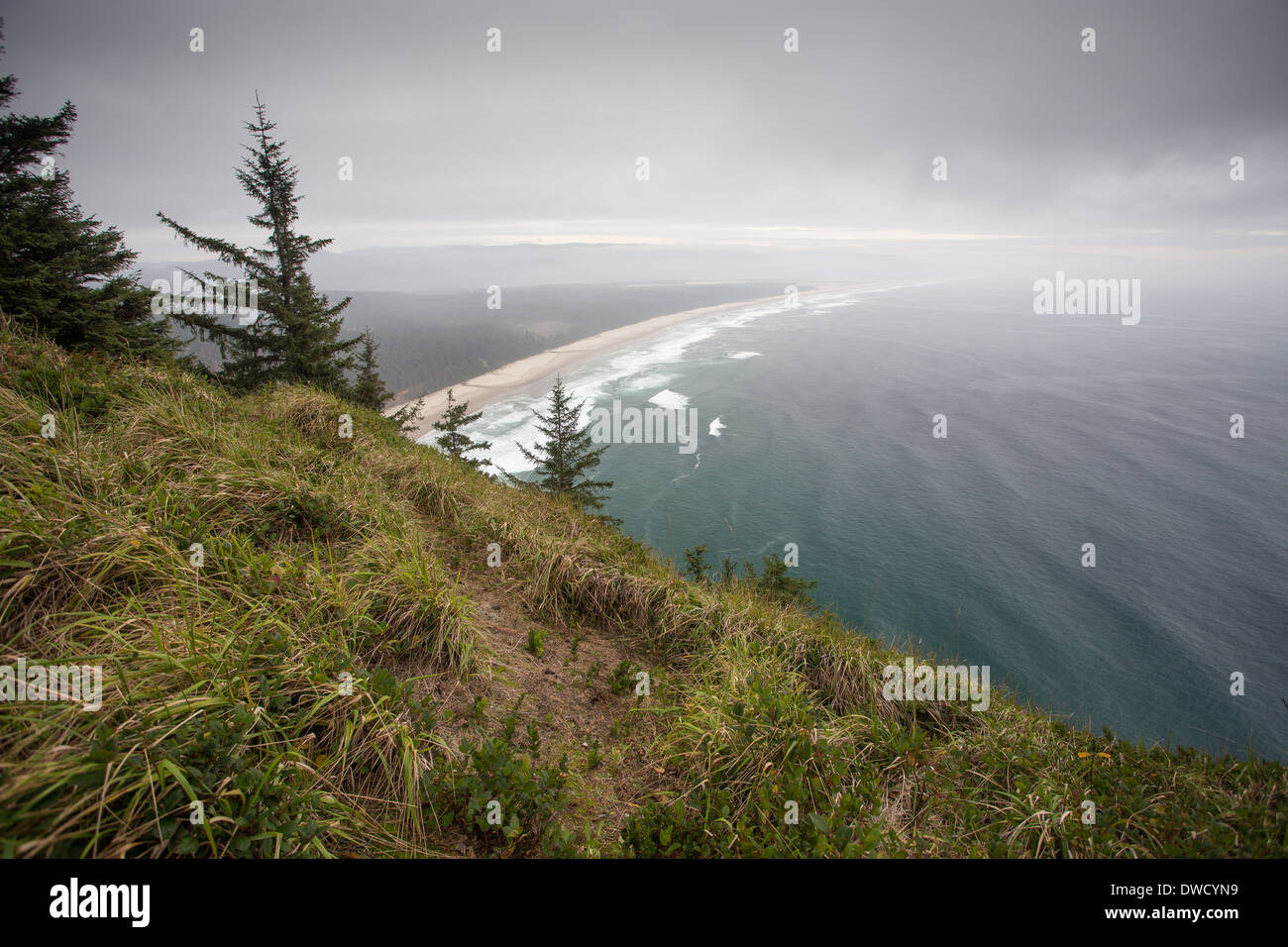 An amazing view from Cape Lookout State Park trail, Oregon Stock Photo ...