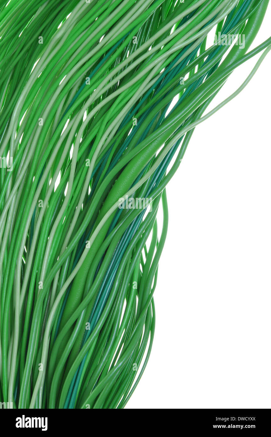 Bundles of green cables isolated on white background Stock Photo - Alamy