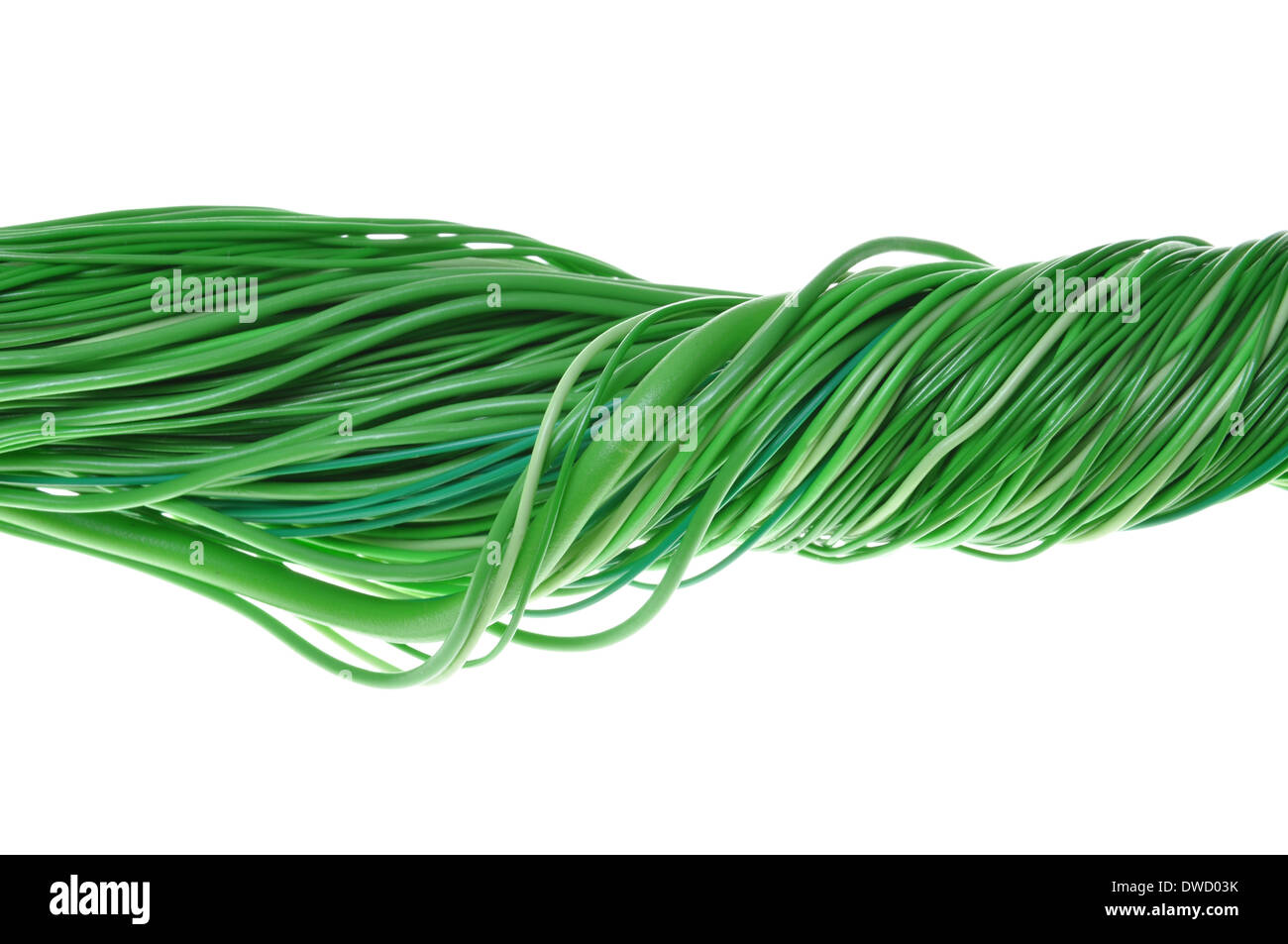 Bundles of green cables isolated on white background Stock Photo - Alamy