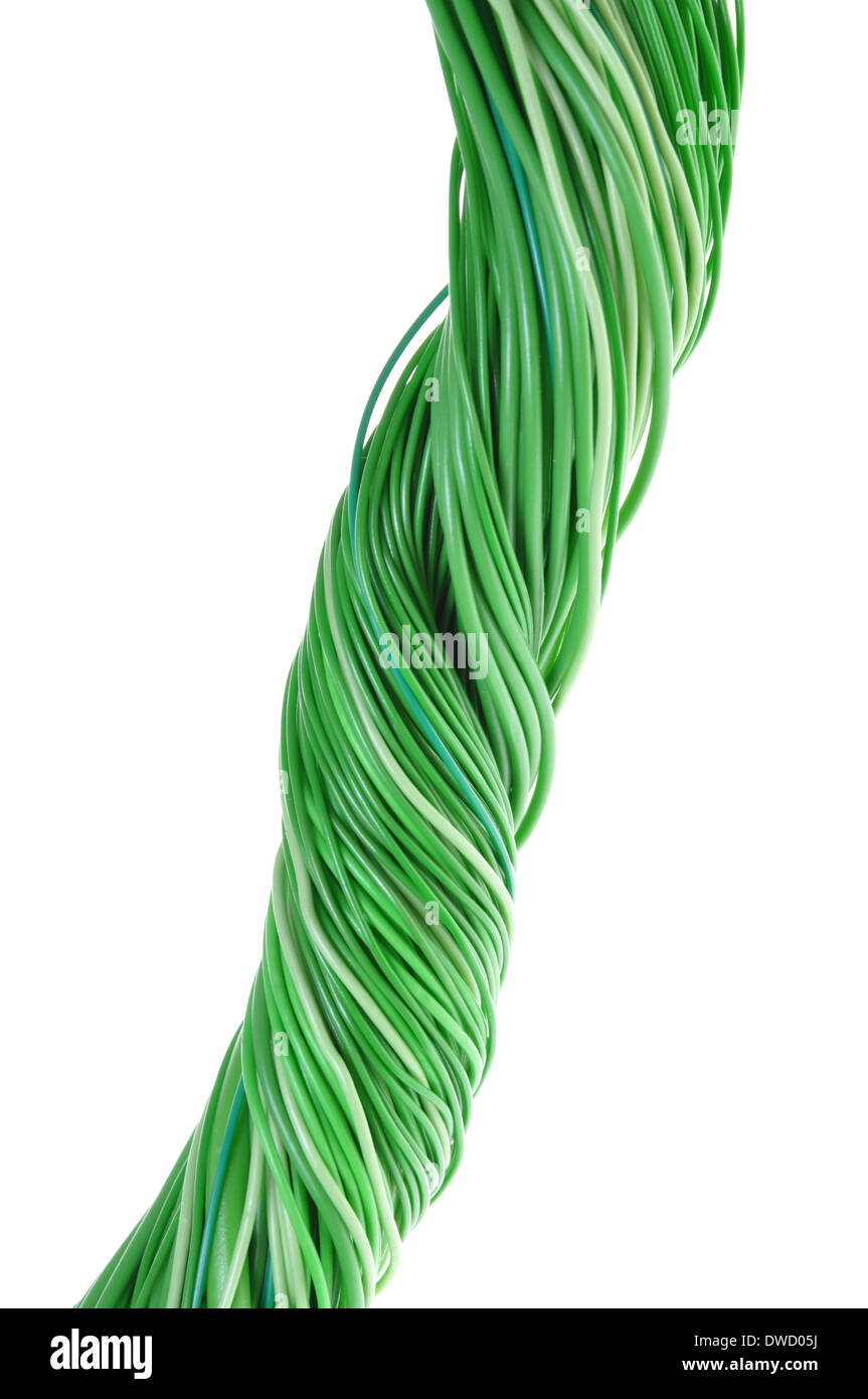 Bundles of green cables isolated on white background Stock Photo - Alamy