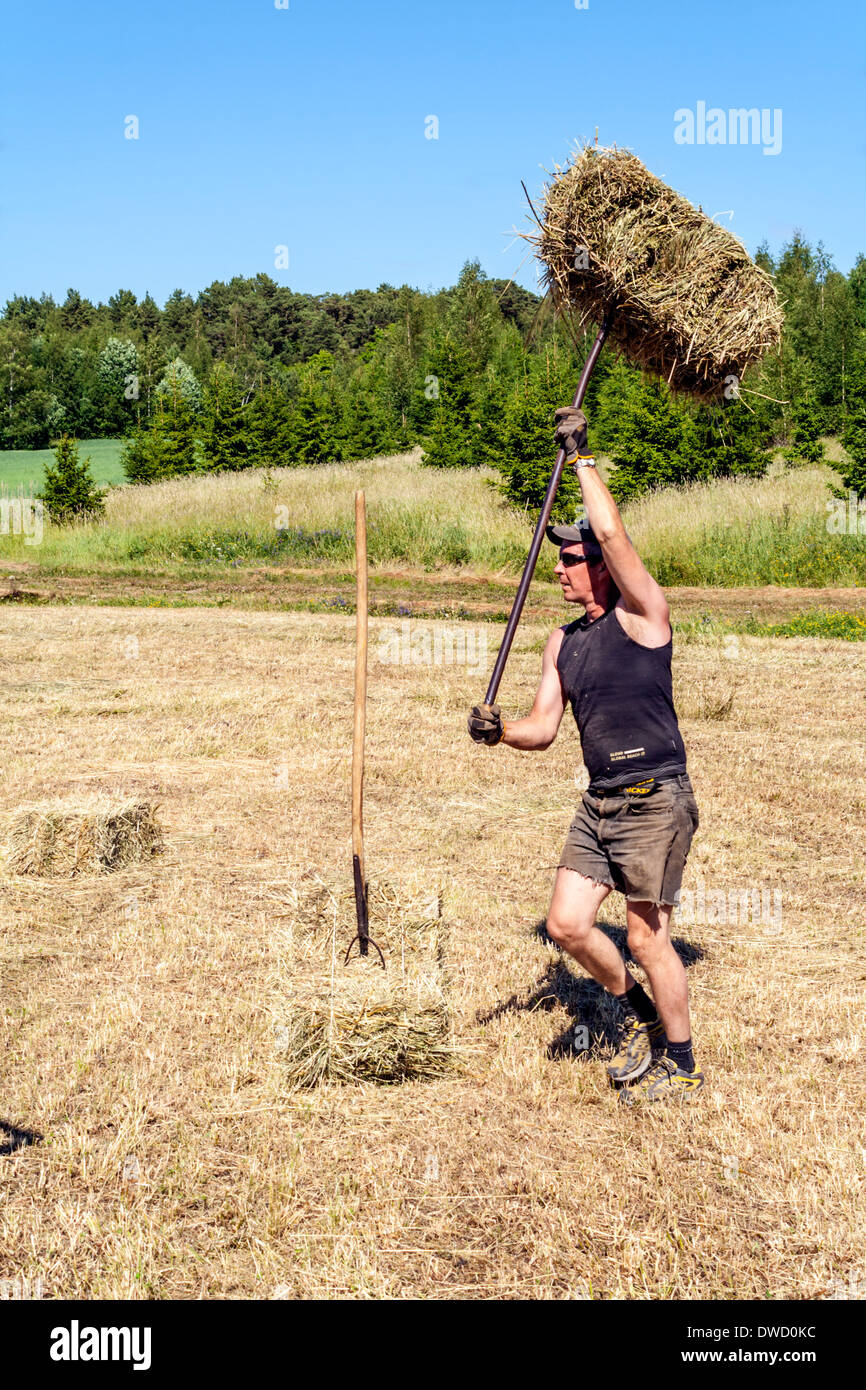 Hay fork hi-res stock photography and images - Alamy