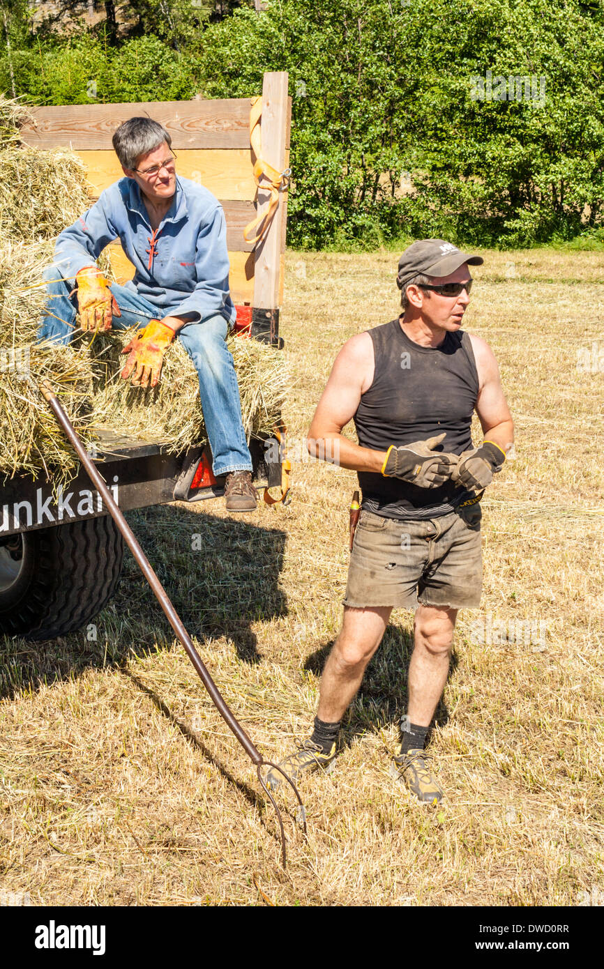 Pitch fork hay hi-res stock photography and images - Alamy