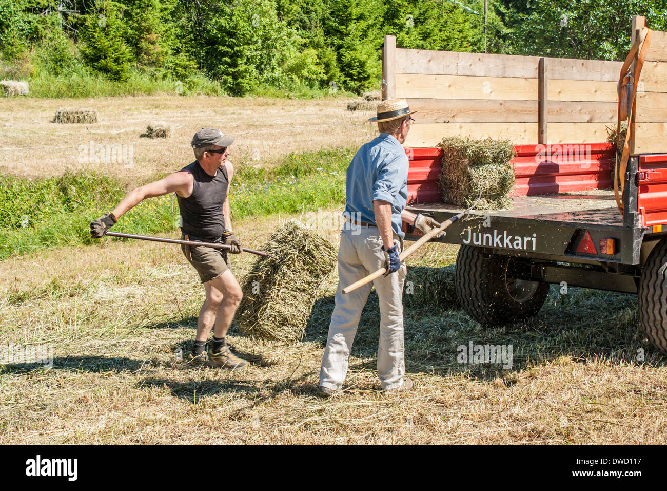Onto a trailer hi-res stock photography and images - Alamy