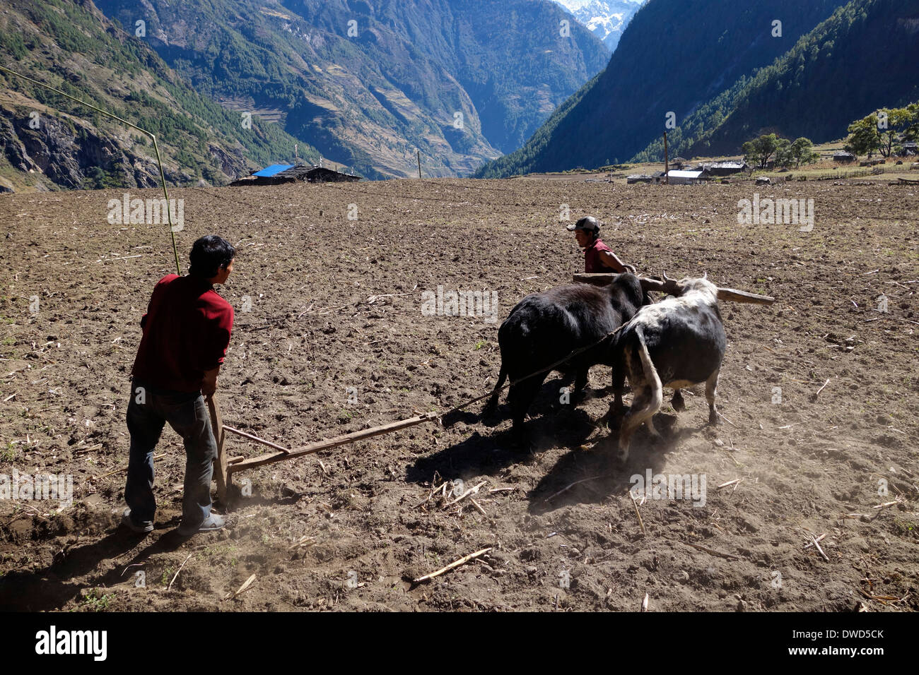 Hand Plow Stock Photos & Hand Plow Stock Images - Alamy