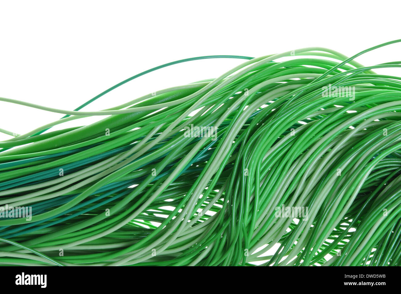 Bundles of green cables isolated on white background Stock Photo - Alamy