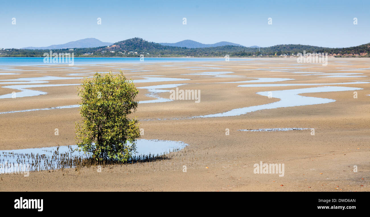 North Queensland Beach Scene Bowen extreme tides Stock Photo - Alamy