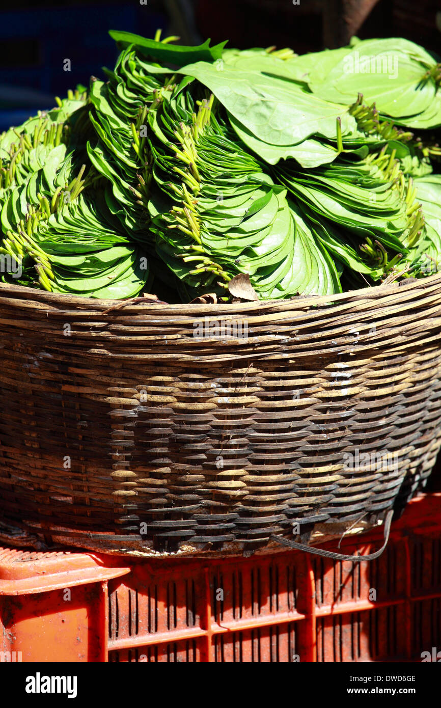 Green leaves in local market in India Stock Photo - Alamy