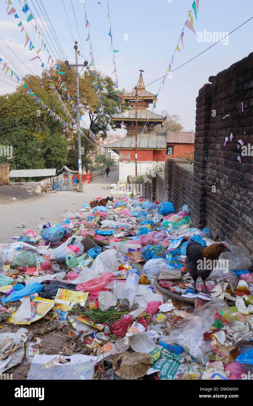 Chicken foraging among discarded plastic trash in Kathmandu, Nepal ...