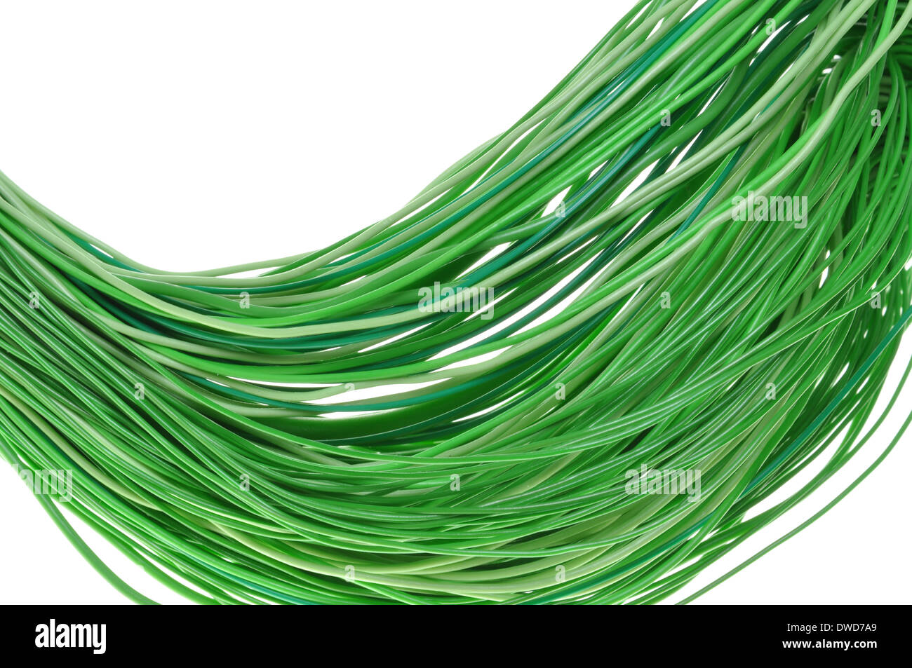 Bundles of green cables isolated on white background Stock Photo - Alamy
