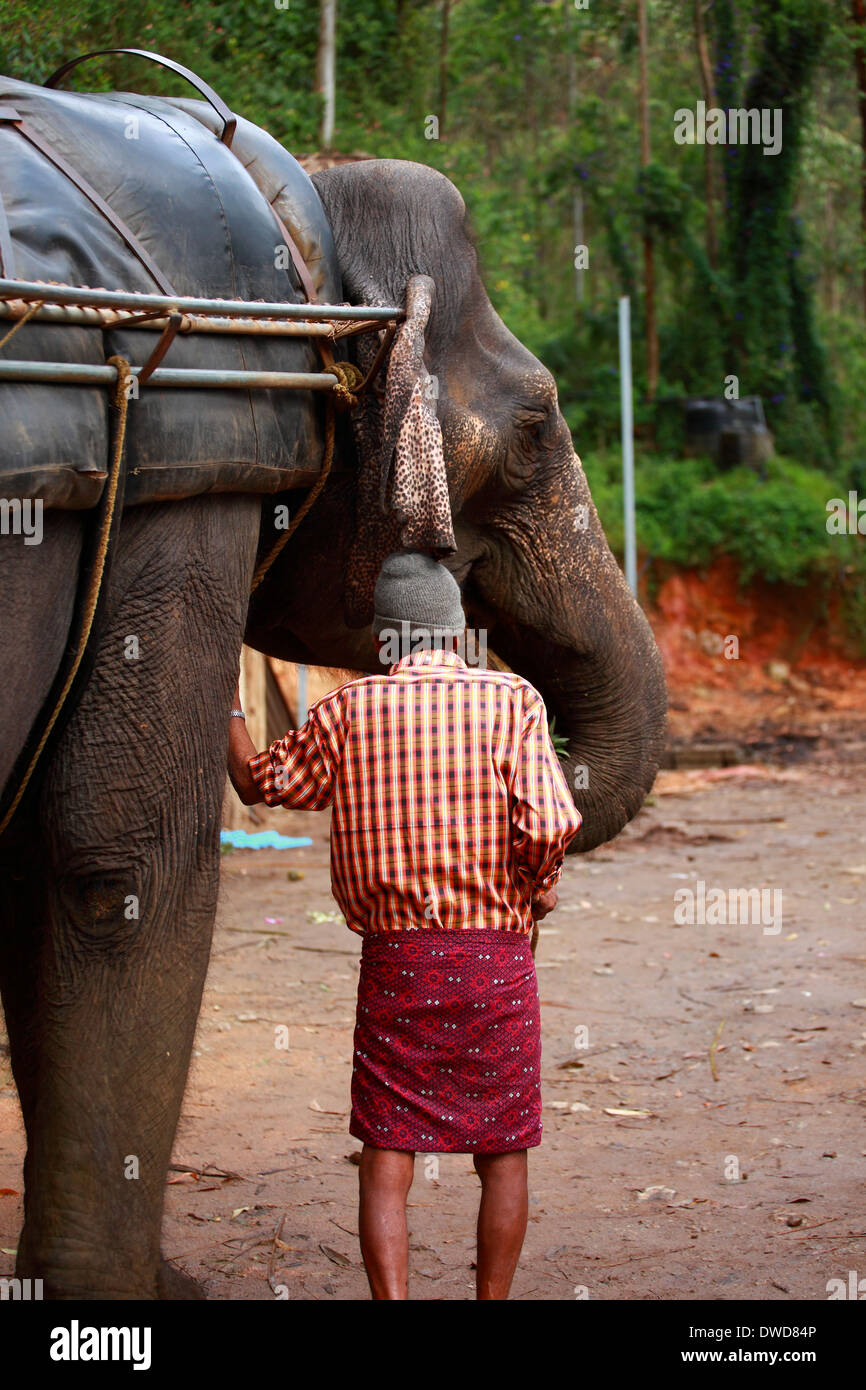 Man and his elephant Stock Photo - Alamy