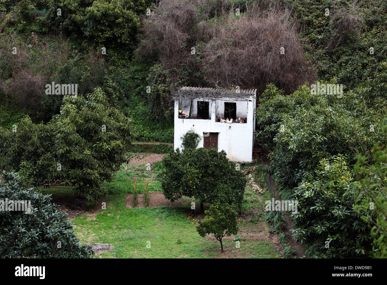 Spanish country house inhabited by chickens Stock Photo - Alamy
