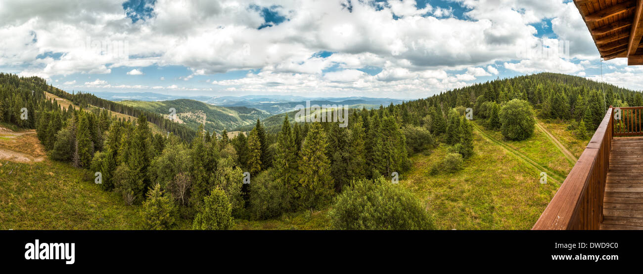 Outlook forest hi-res stock photography and images - Alamy