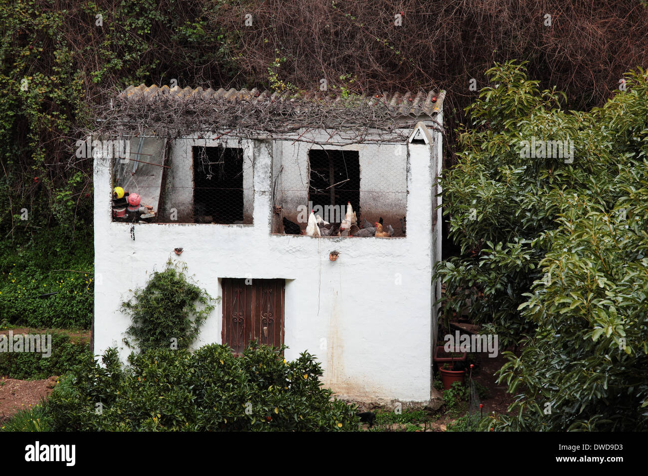 Spanish Country House