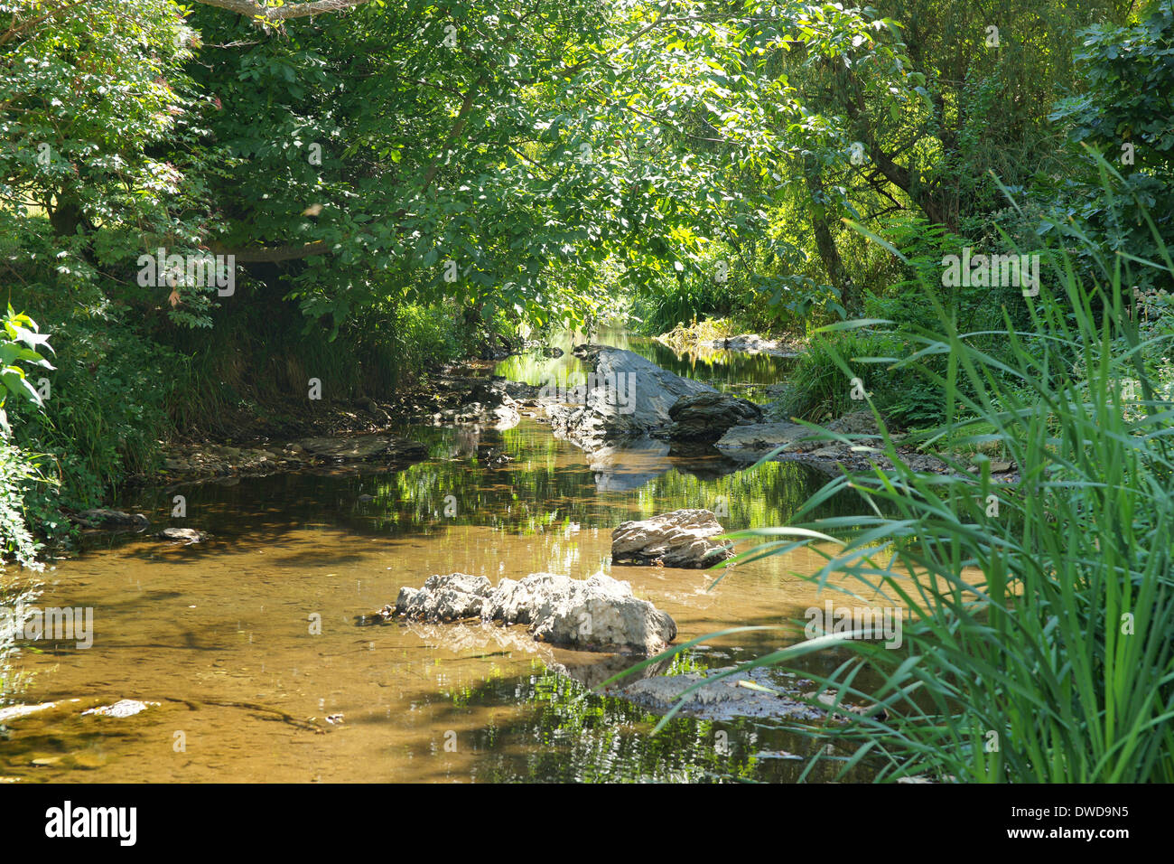 river scene in village of Collobrières, south of France Stock Photo - Alamy