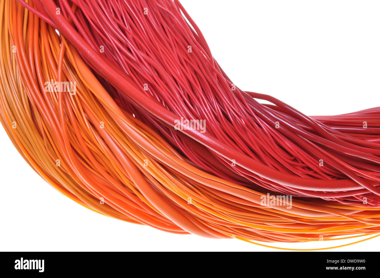 Network computer cable isolated on white background Stock Photo - Alamy