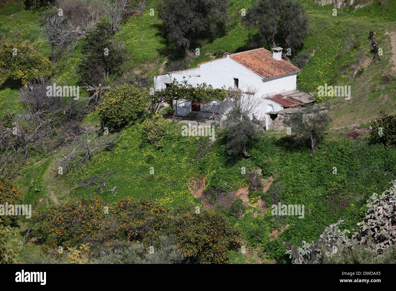 Spanish country house Stock Photo - Alamy