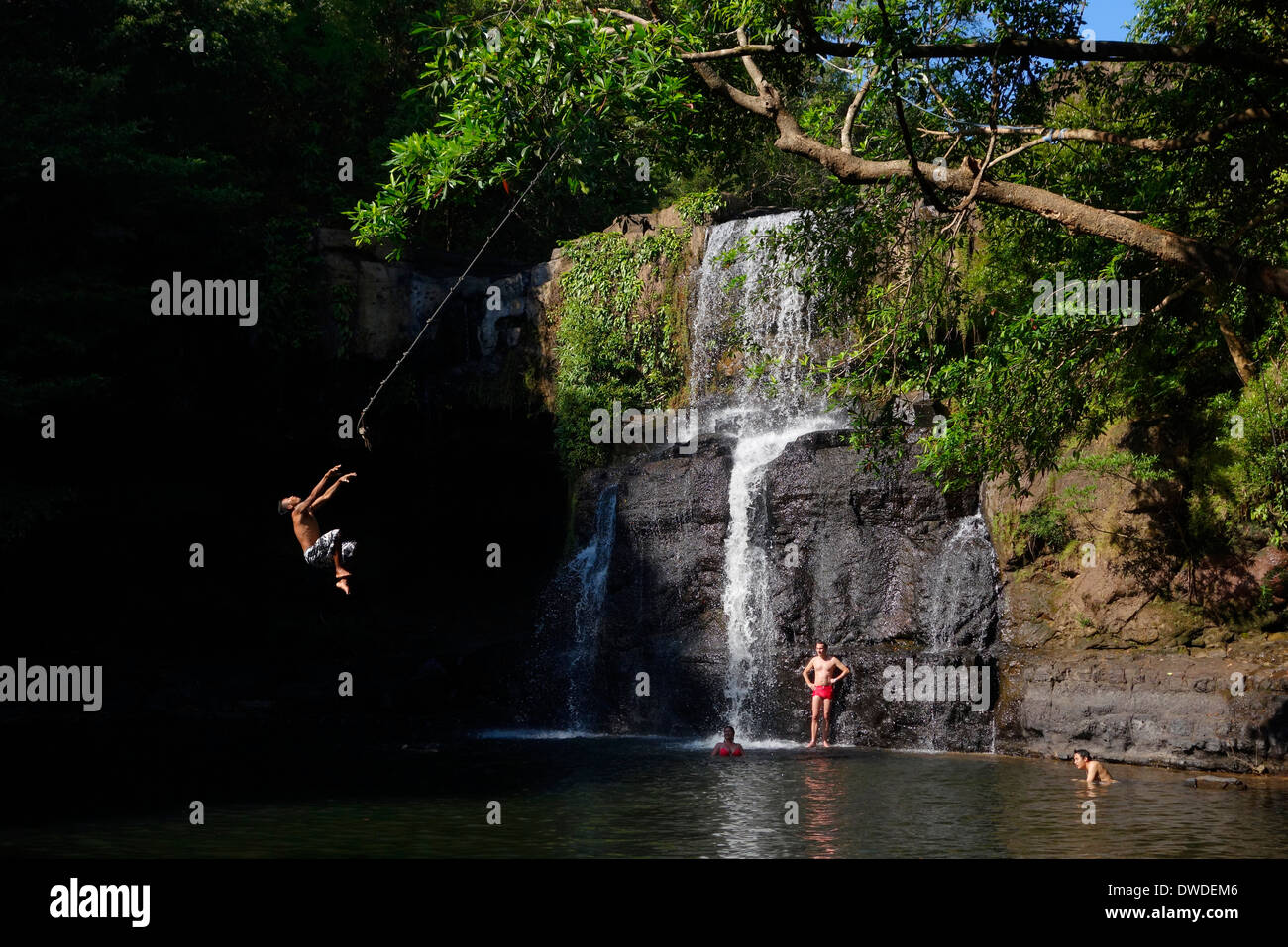Young man intentionally falling from a rope swing above a pool at the ...