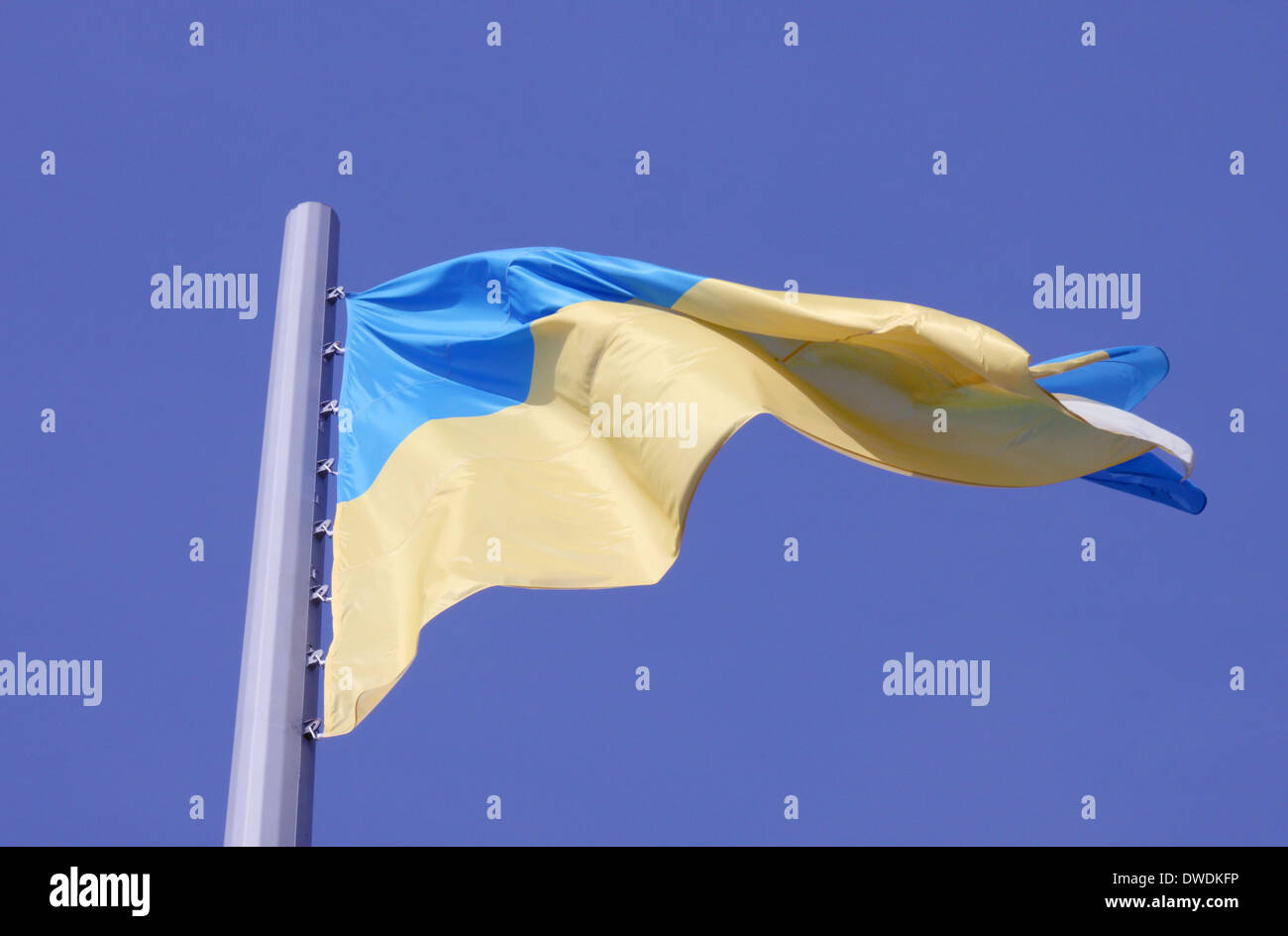 Ukrainian flag ukraine flag hi-res stock photography and images - Alamy
