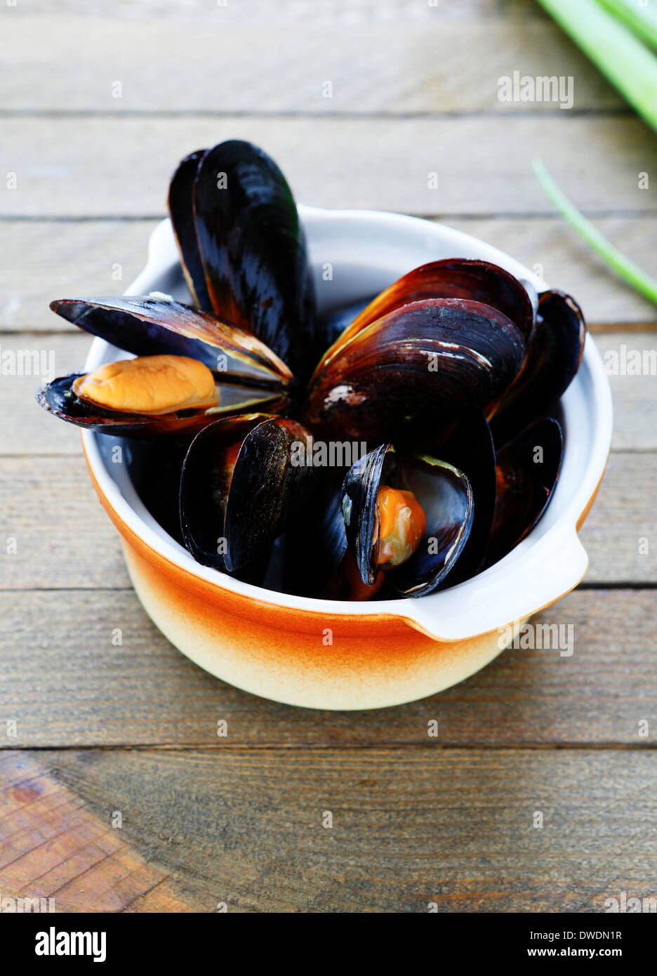 Open cooked mussels seafood hi-res stock photography and images - Alamy