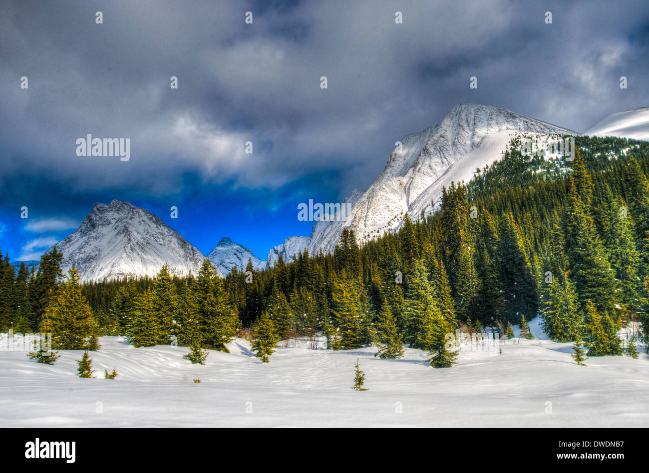 Snowy winter scenery in the Canadian Rocky Mountains - Kananaskis ...