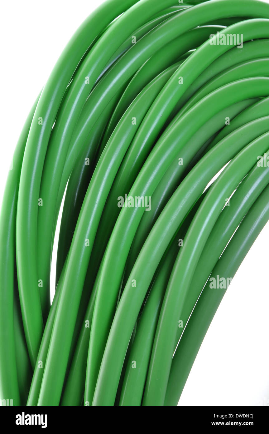 Green network cables, close up, isolated on white background Stock ...