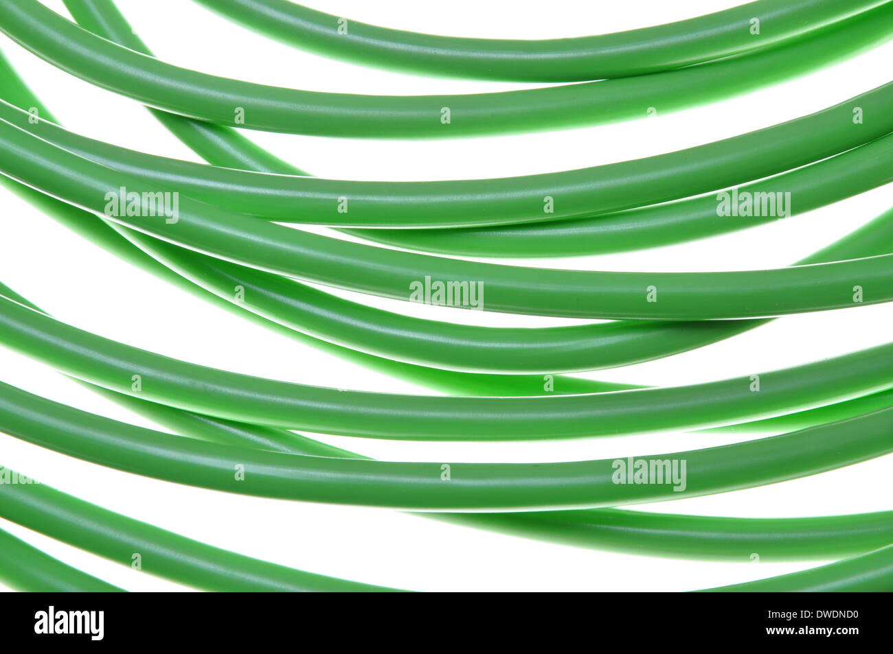 Green network cables, close up, isolated on white background Stock ...