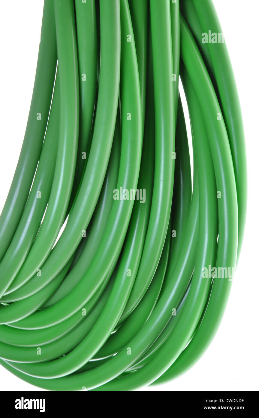 Green network cables, close up, isolated on white background Stock ...