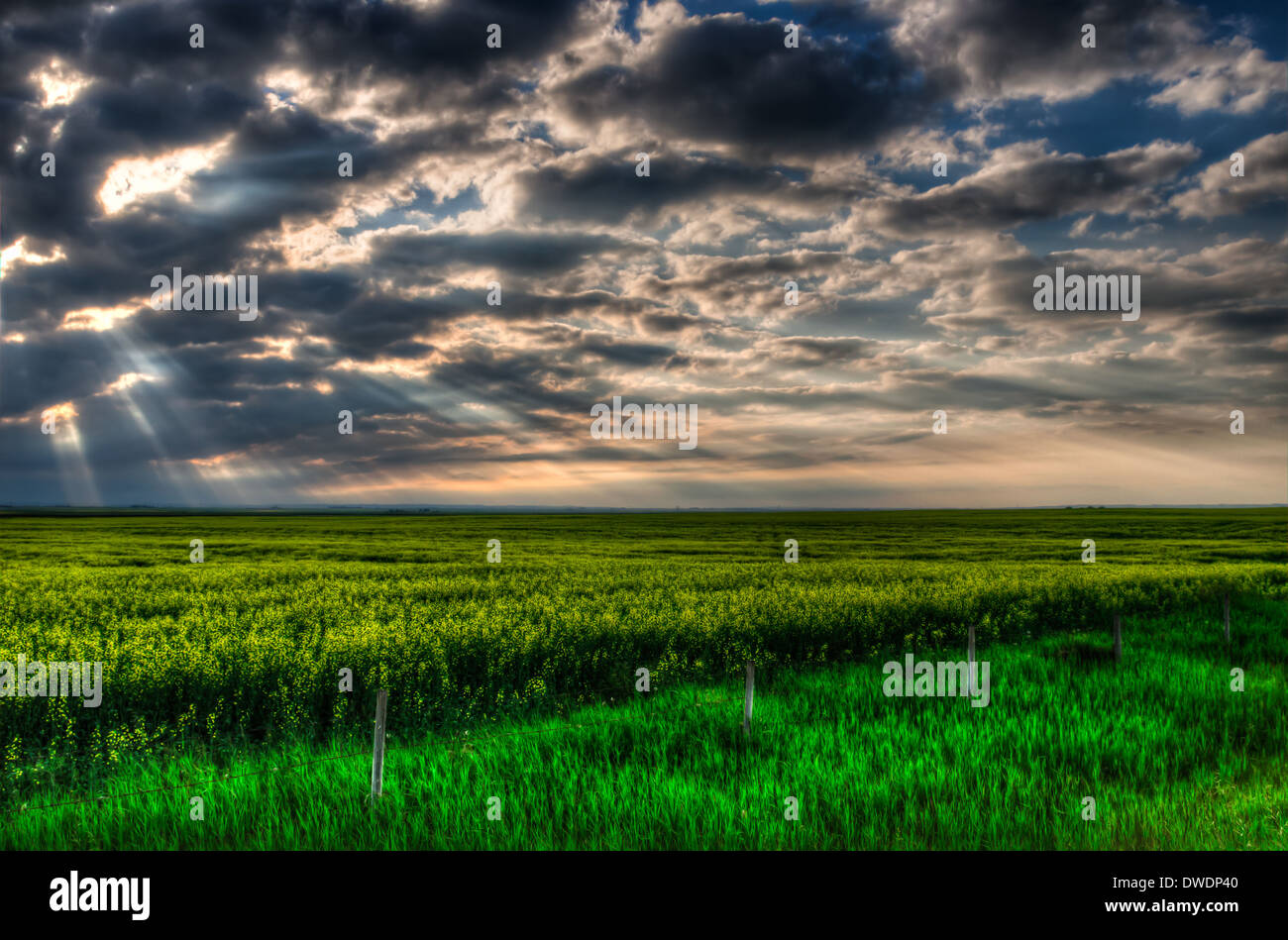 Alberta farmland under stormy skies at sunset Stock Photo - Alamy