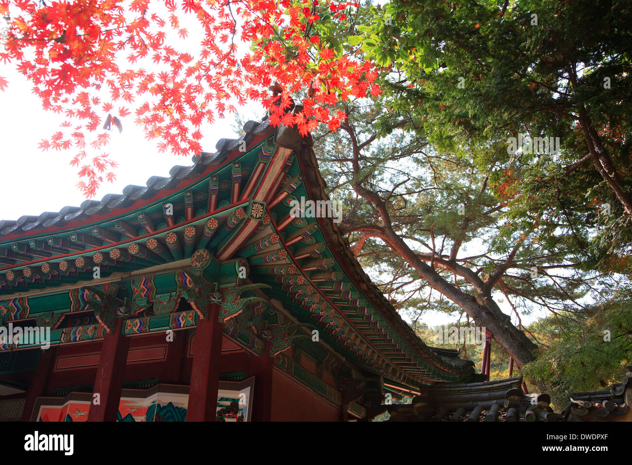 Korean traditional culture Stock Photo - Alamy