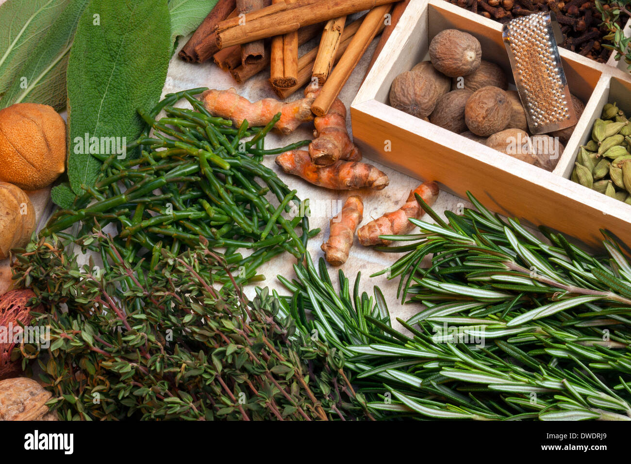 A selection of herbs and spices used in cooking Stock Photo - Alamy
