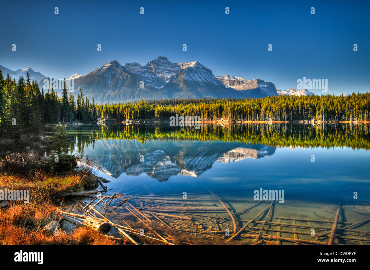 Scenic Herbert Lake on the Icefields Parkway, Banff National Park Stock ...