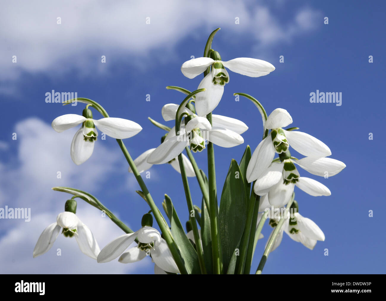 Beautiful su hi-res stock photography and images - Alamy
